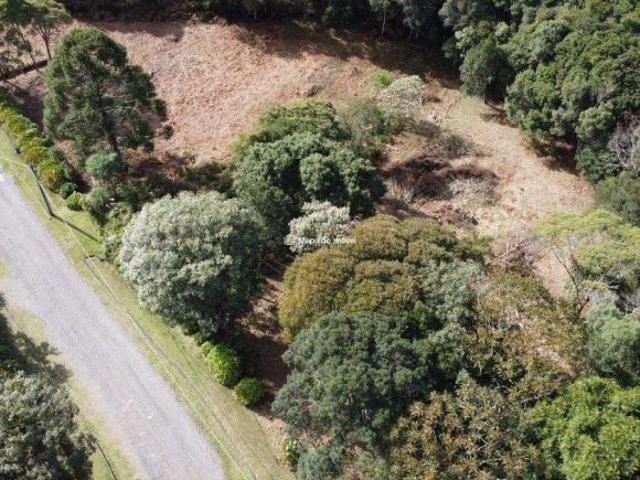 Imoveis em Gramado