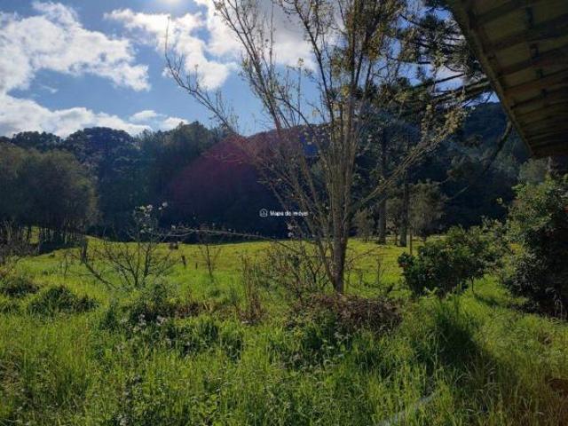 Imoveis em Gramado