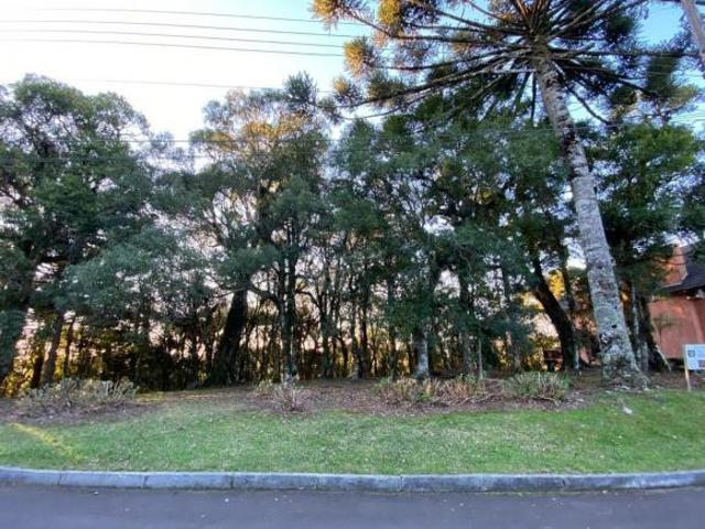 Imoveis em Gramado