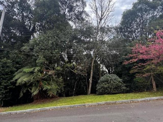 Imoveis em Gramado