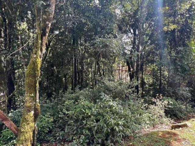 Imoveis em Gramado