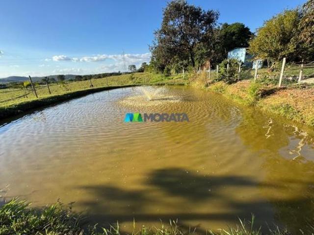Imoveis em Inhaúma