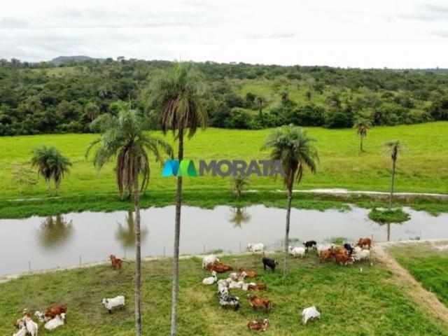 Imoveis em Inhaúma