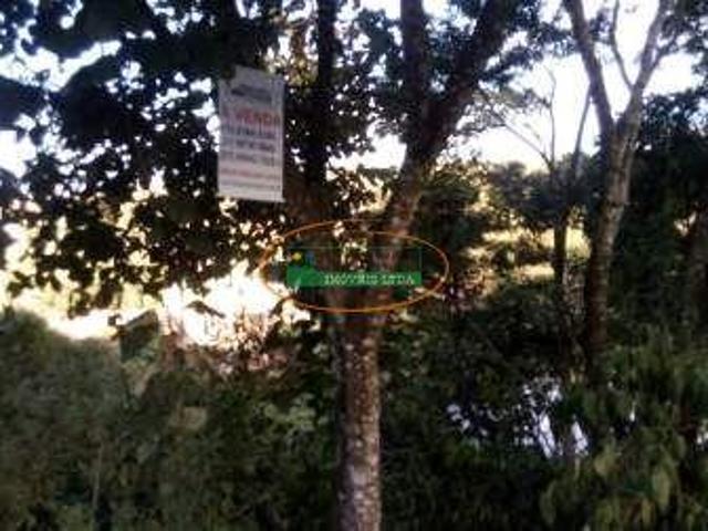Imoveis em Joaquim Murtinho
