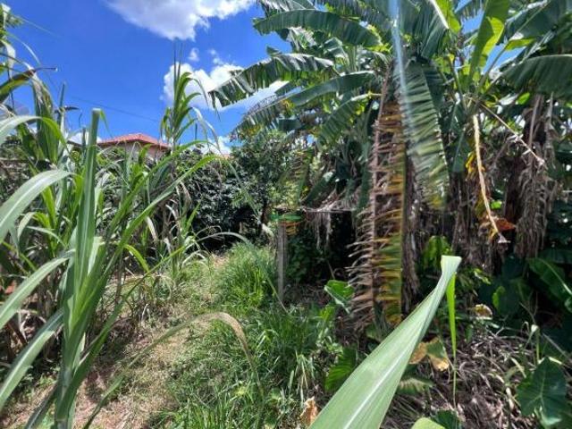 Imoveis em Lagoa Dourada