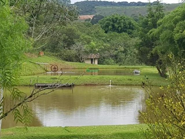 Imoveis em Lagoa Dourada