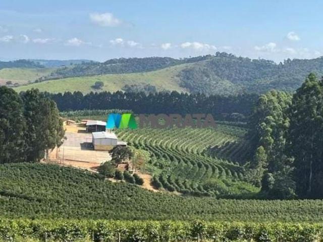 Imoveis em Lambari