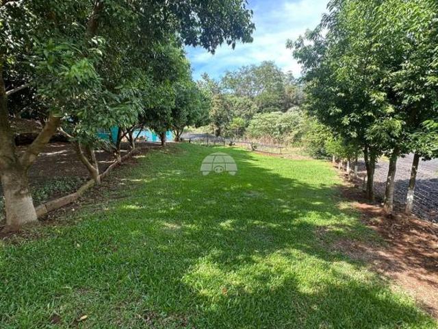 Imoveis em Pato Branco