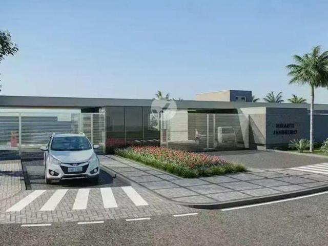 Imoveis em Pau Pombo