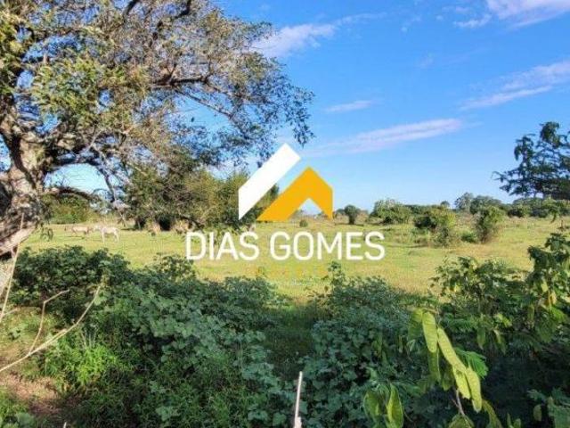 Imoveis em Pelotas