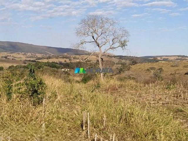 Imoveis em Pequi