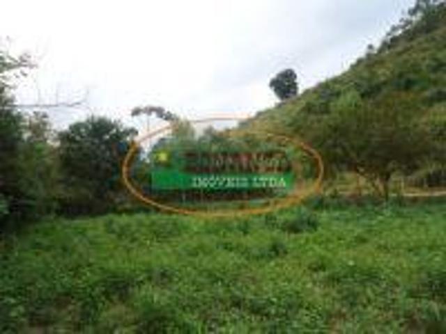 Imoveis em Piranga
