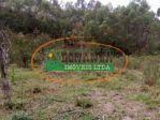 Imoveis em Piranga