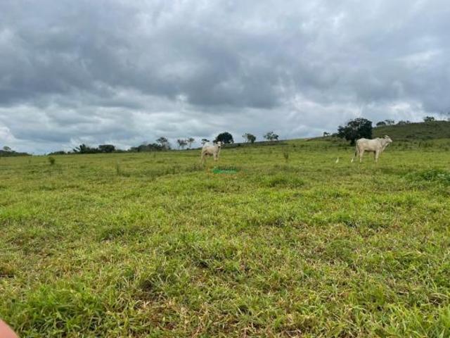 Imoveis em Piumhi