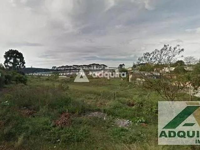 Imoveis em Ponta Grossa