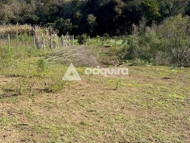 Imoveis em Ponta Grossa