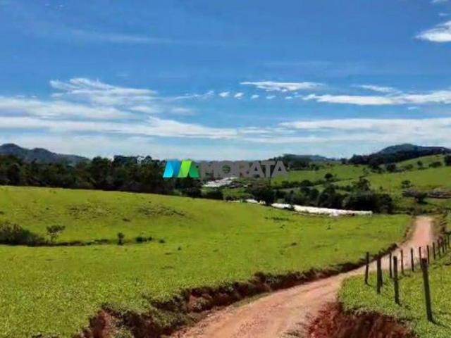 Imoveis em Pouso Alegre