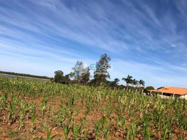 Imoveis em Primeiro de Maio