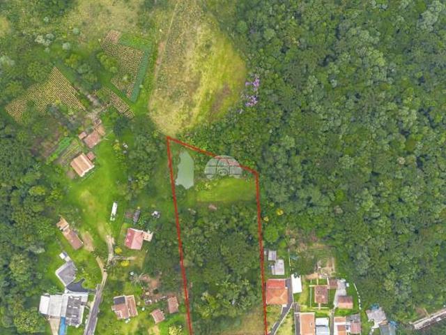 Imoveis em Quatro Barras
