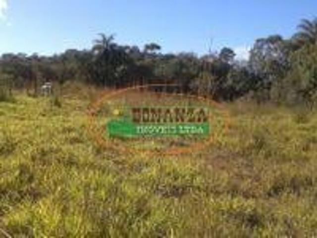 Imoveis Em Queluzita