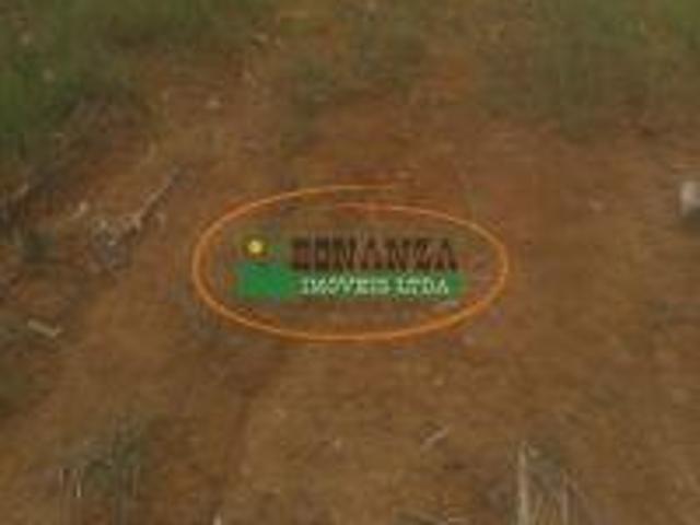 Imoveis Em Queluzita