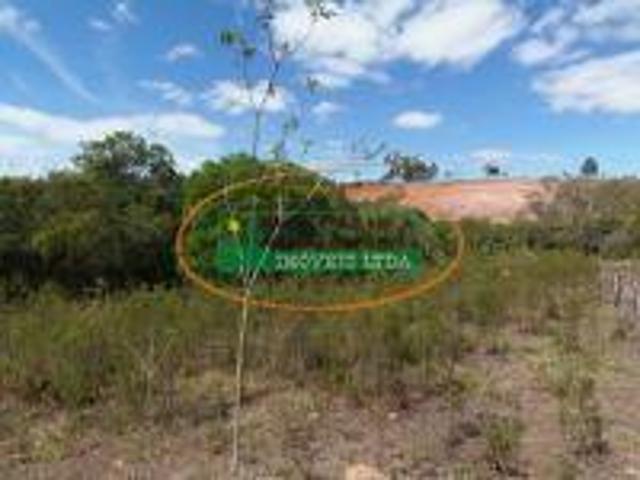 Imoveis Em Queluzita