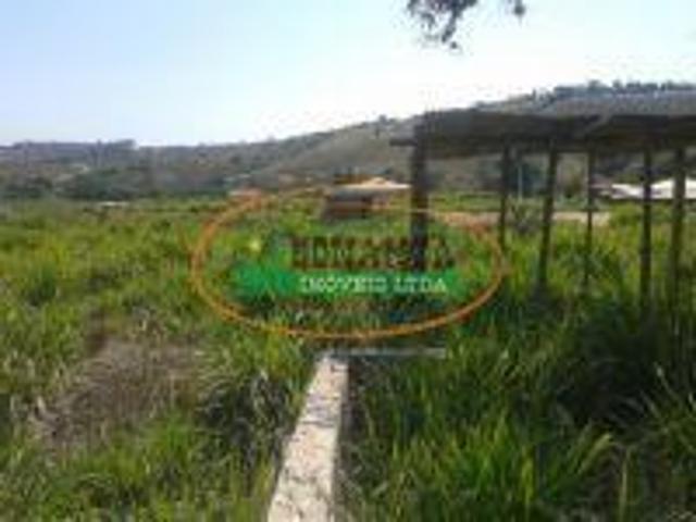 Imoveis Em Queluzita