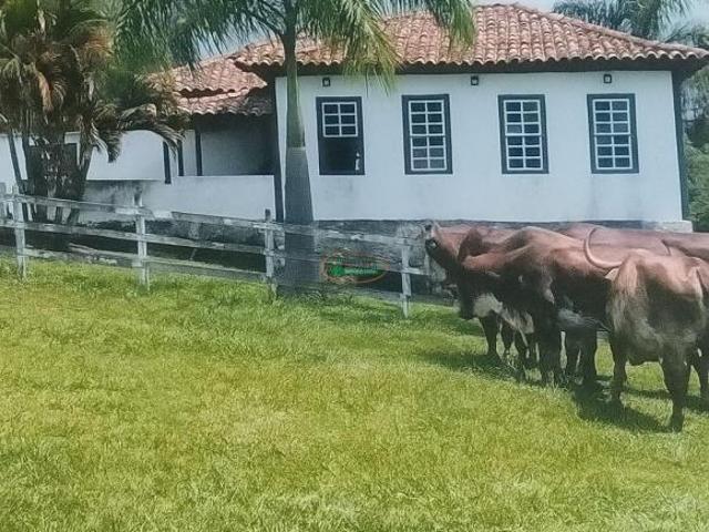 Imoveis em Resende Costa