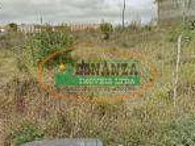 Imoveis em Rochedo