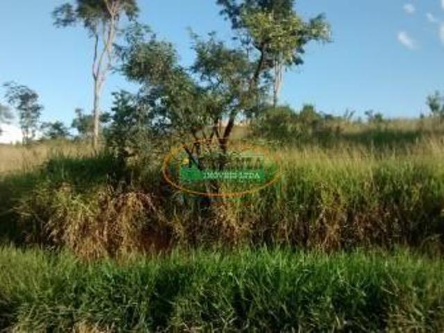 Imoveis em Rochedo