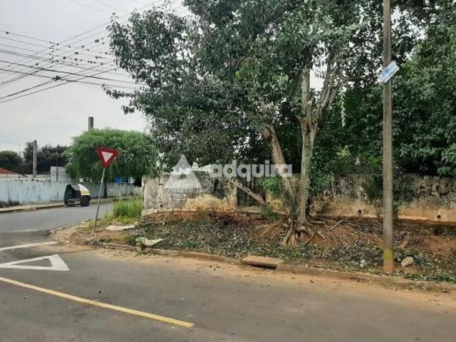 Imoveis em Ronda