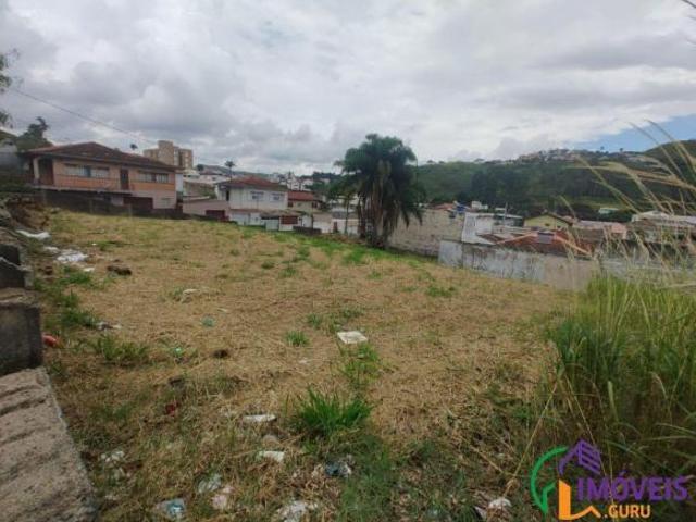 Imoveis em São Domingos