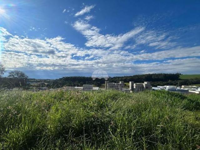 Imoveis em São Francisco