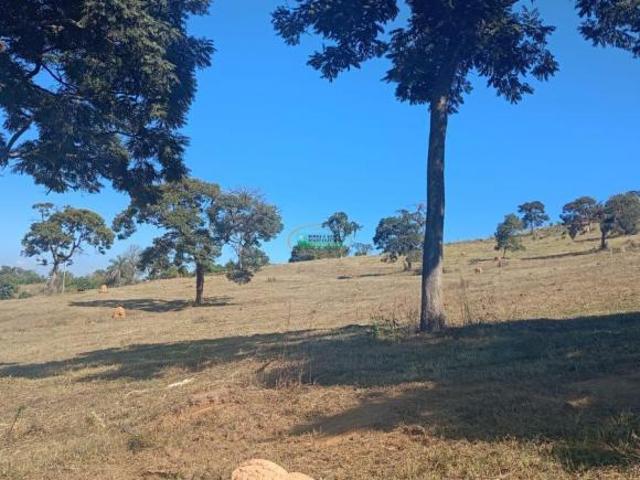 Imoveis em São João Del Rei