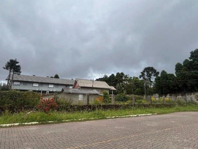 Imoveis em São José