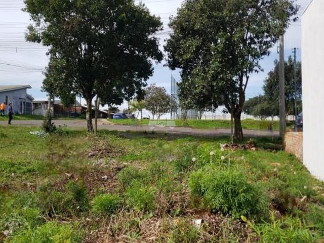 Imoveis em São Luiz Gonzaga