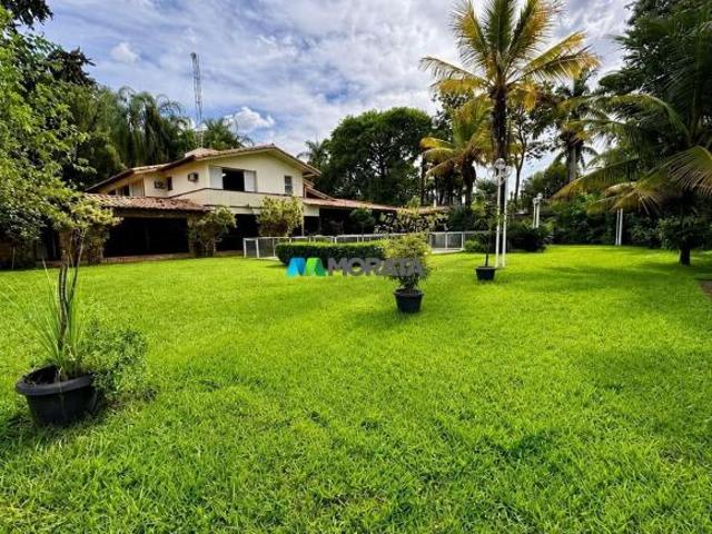Imoveis em São Luiz