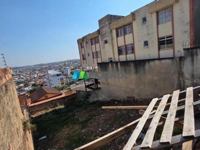 Imoveis em Salgado Filho