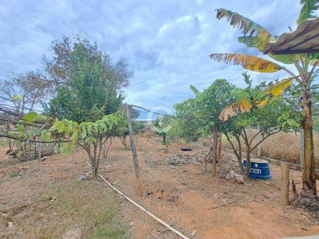 Imoveis em Santa Filomena