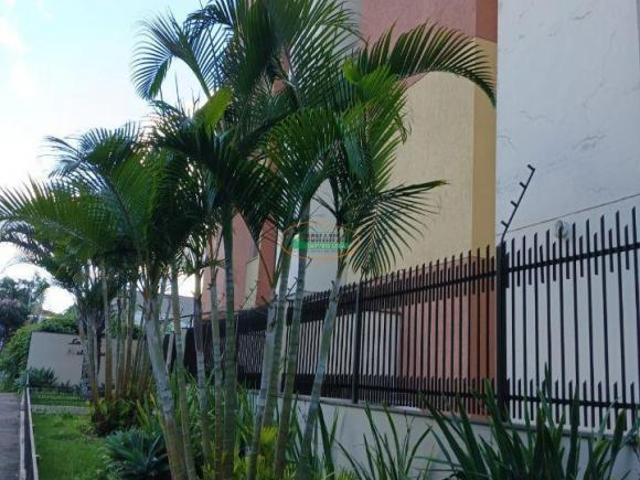 Imoveis em Santa Helena