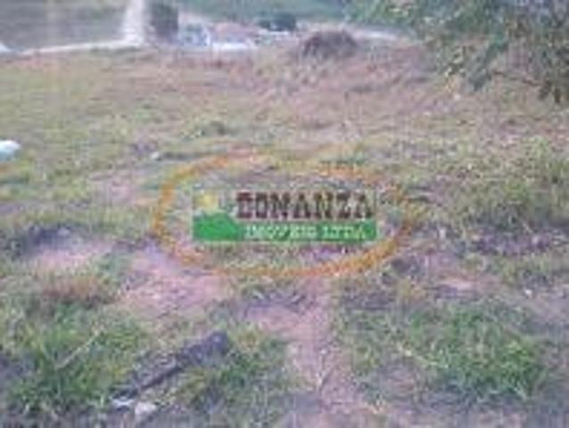 Imoveis em Santo Agostinho
