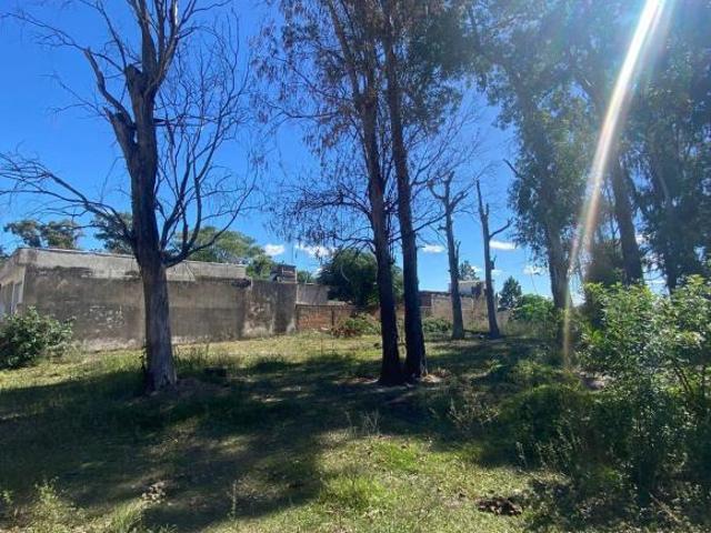 Imoveis em Senandes
