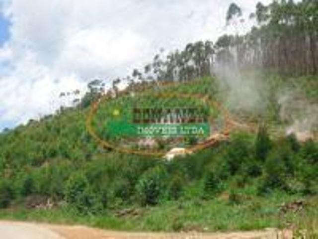 Imoveis em Senhora de Oliveira
