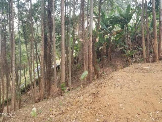 Imoveis em Tamboré