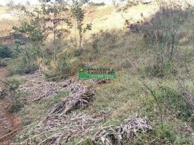 Imoveis em Topázio