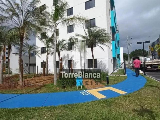 Imoveis em Uvaranas