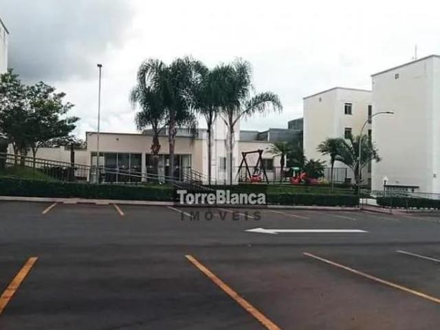 Imoveis em Uvaranas