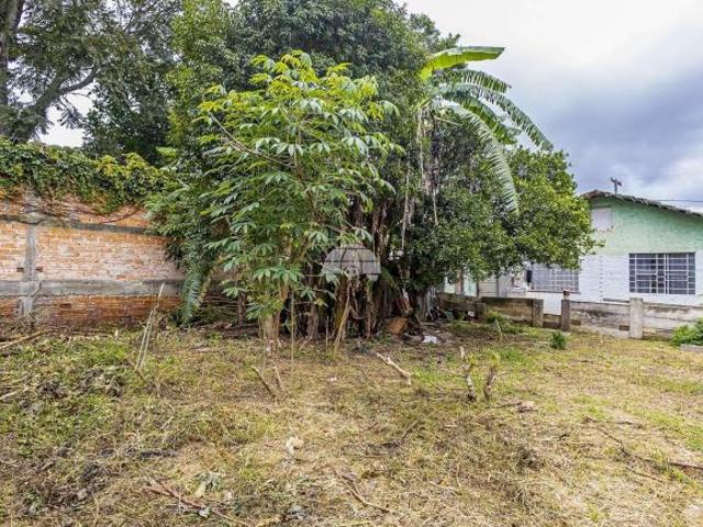 Imoveis em Vista Alegre