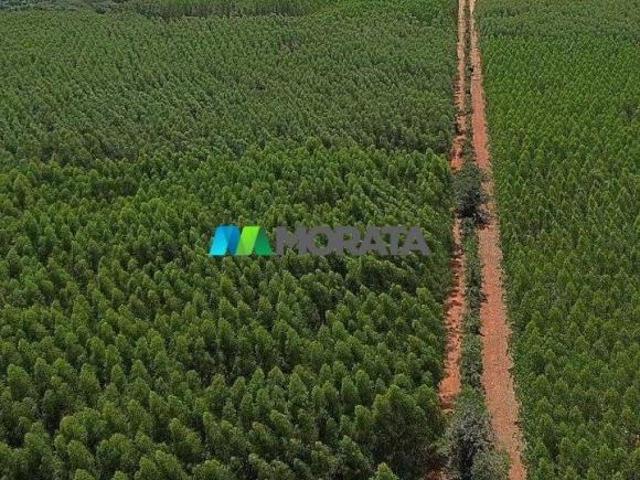 Imoveis em Zona Rural