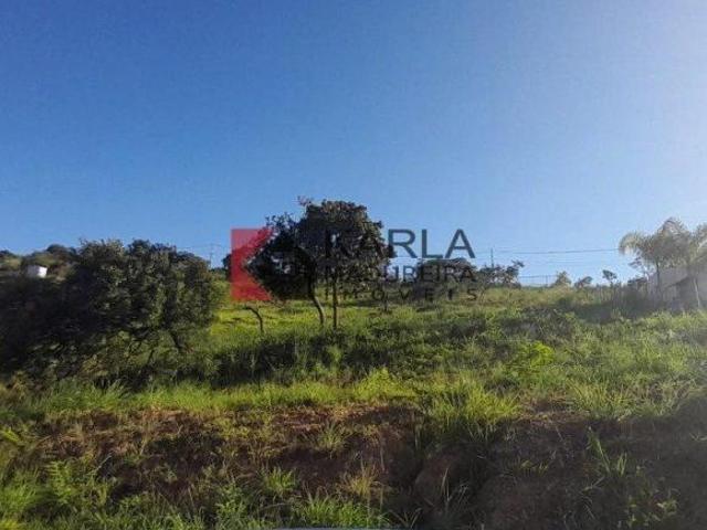 Imoveis Terra Vista
